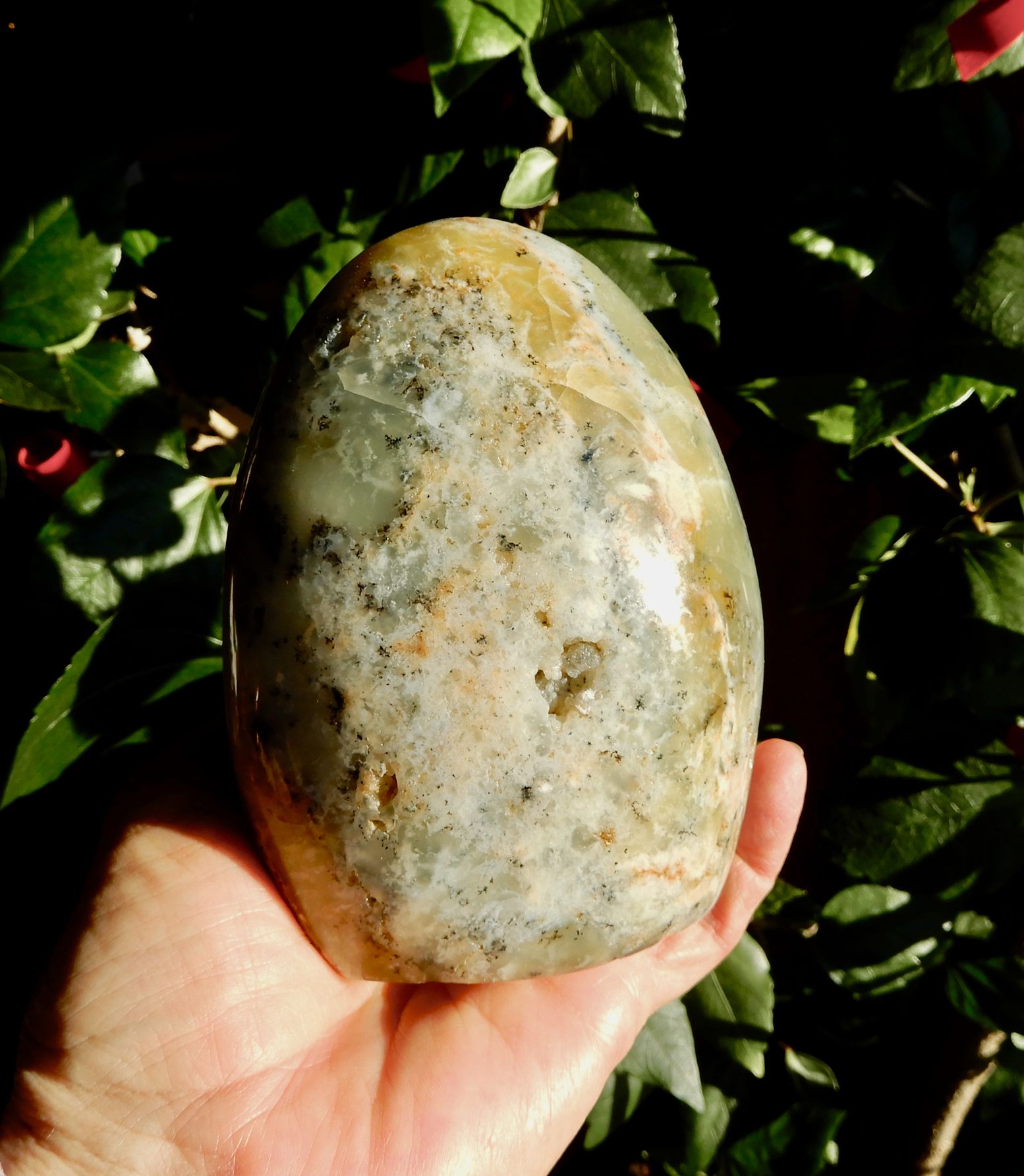Merlinite Dendrite Agate Free Form - MOON SOUL MAGIC