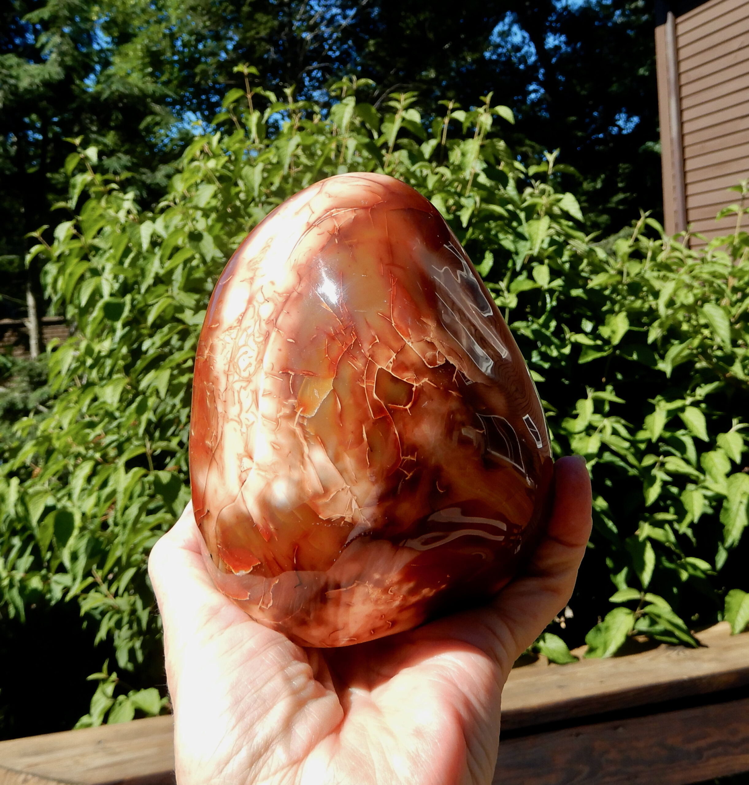 Carnelian Large Standing Free Form - MOON SOUL MAGIC