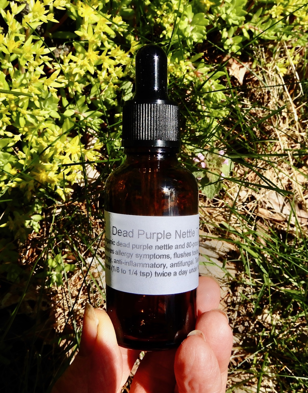 Organic Dead Purple Nettle Tincture - MOON SOUL MAGIC