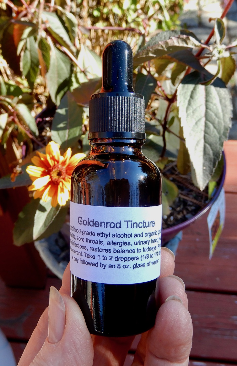 Organic Goldenrod Tincture - MOON SOUL MAGIC