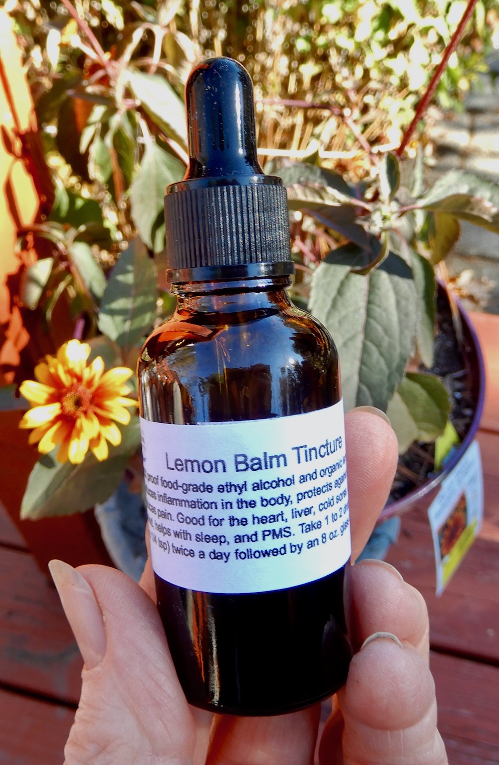 Organic Lemon Balm Tincture - MOON SOUL MAGIC