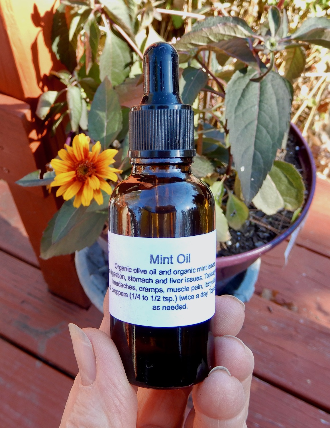 Organic Mint Oil - MOON SOUL MAGIC