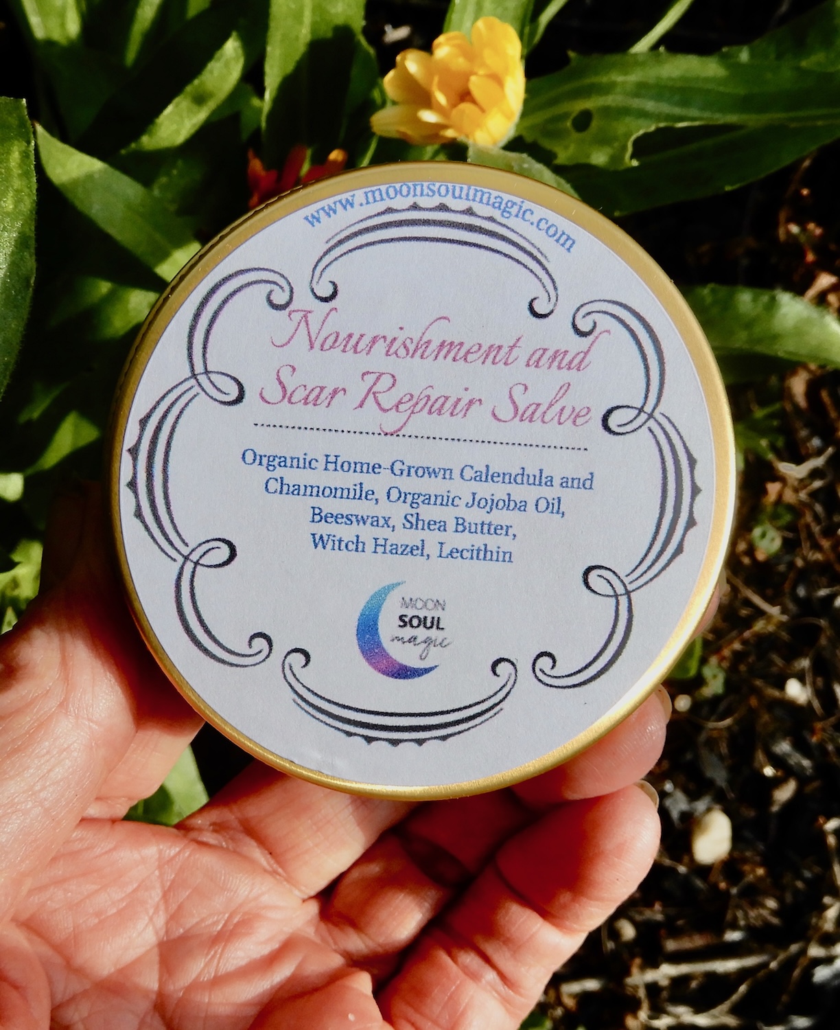 Nourishment and Scar Repair Salve - MOON SOUL MAGIC